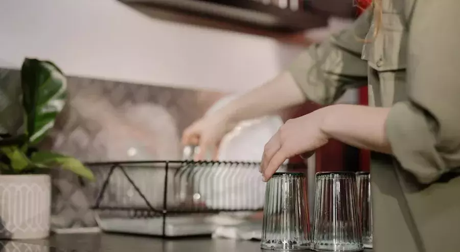 Exemple de CV : Plongeur [GRATUIT]