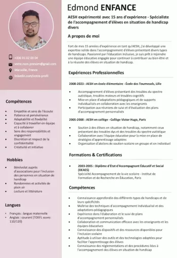 Exemple De Cv Aesh Accompagnant Des Élèves En Situation De Handicap